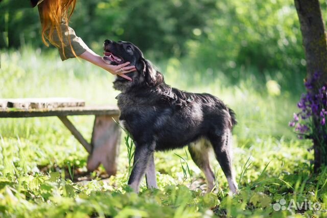 Харизматичный Жак ищет любящую семью
