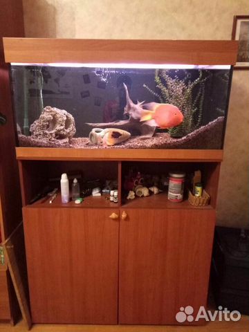 Аквариум с рыбами (+фильтр eheim 2217) самовывоз