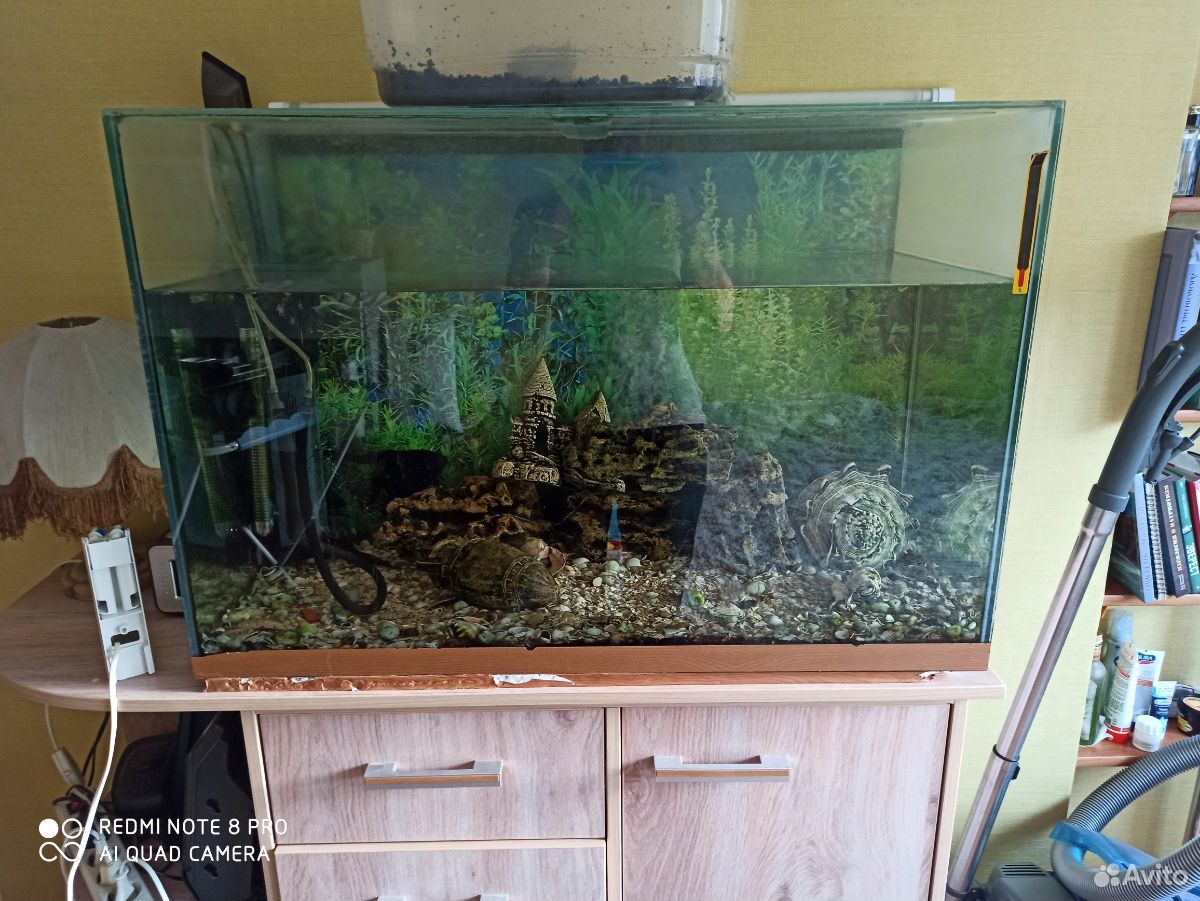 Аквариум и аппаратура