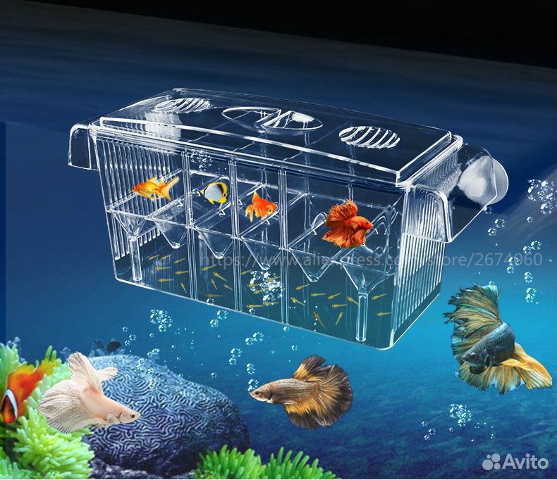 Инкубатор для аквариума