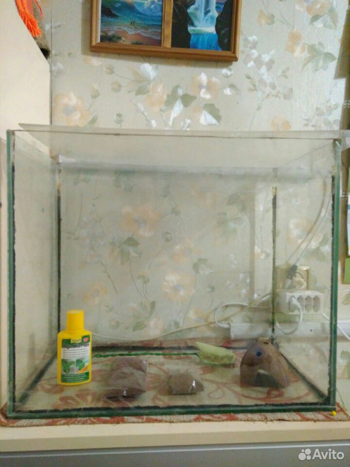 Аквариум