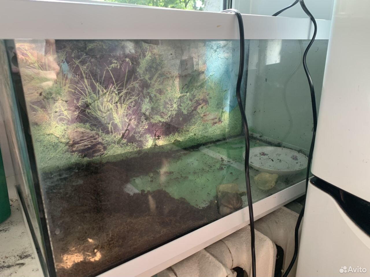 Аквариум