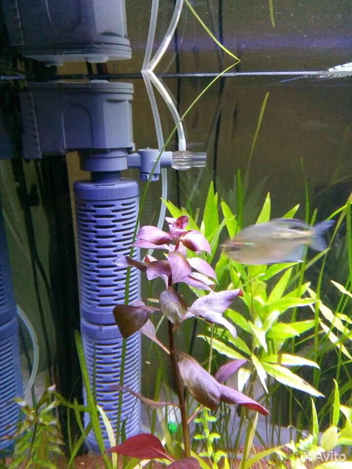 Помпа - фильтр Triton FT - 1122