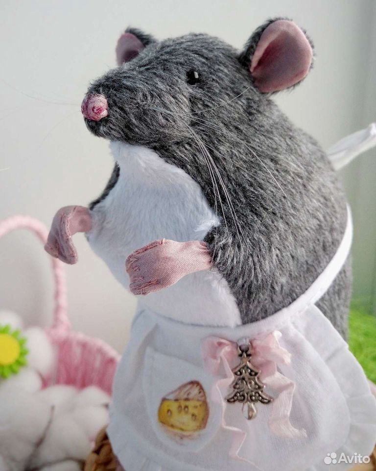 Крысята дамбо