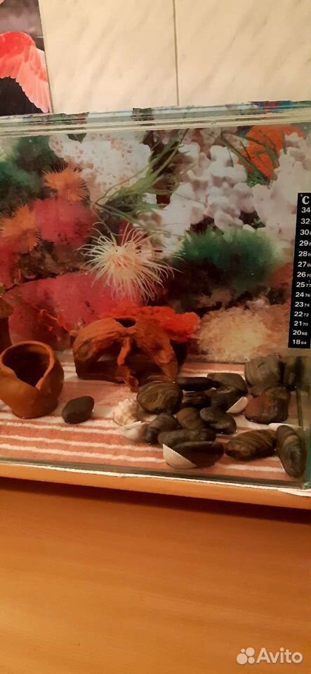 Аквариум +2 черепахи