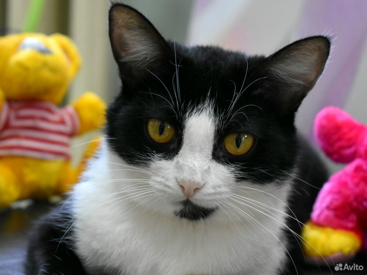 Нежная, ласковая Люся