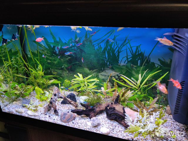 Продам аквариум ferplast cayman 120 литров