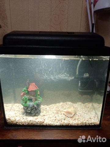 Аквариум