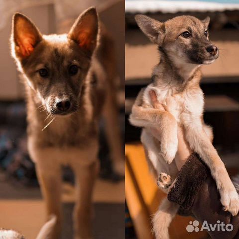 Ищем самые добрые ручки