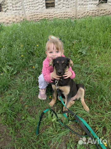 Чарли ищет дом