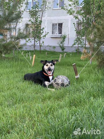 Любящий дом