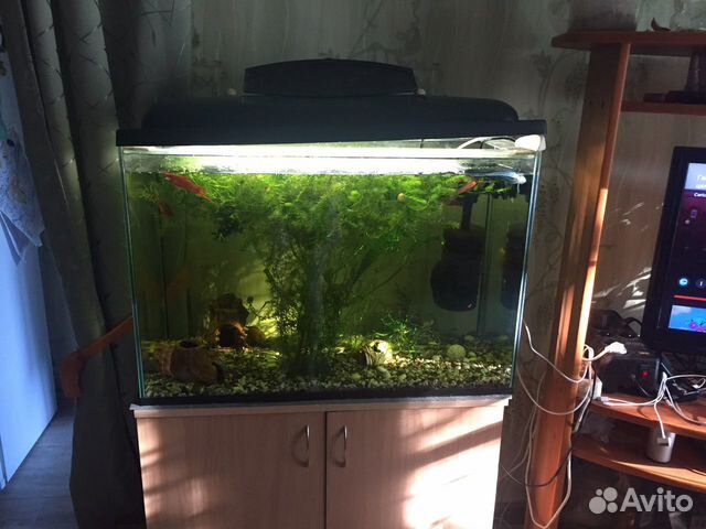 Аквариум 140л с рыбами, крышкой и тумбой