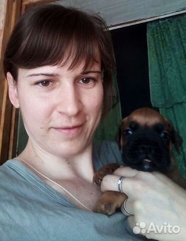 Немецкий боксер