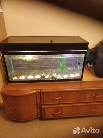 Аквариум с кришкай