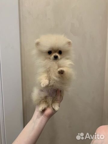 Микро кнопка