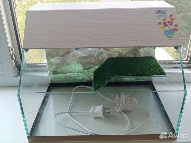 Черепашник