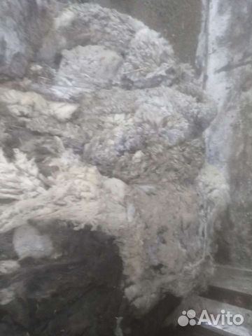 Шерсть (овец)