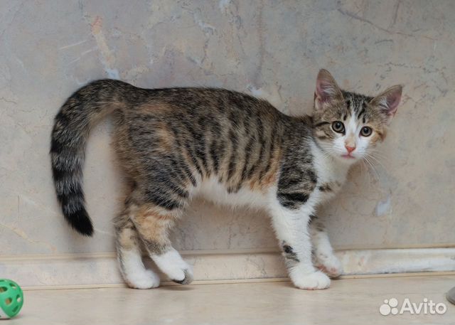 Кнопочка чудная реактивная молекула в дар