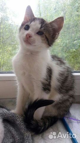 Чудесный малыш