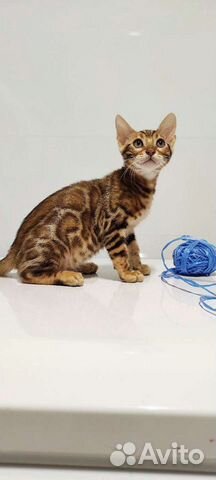 Реальный пацан