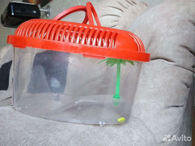 Террариум, переноска для рыб