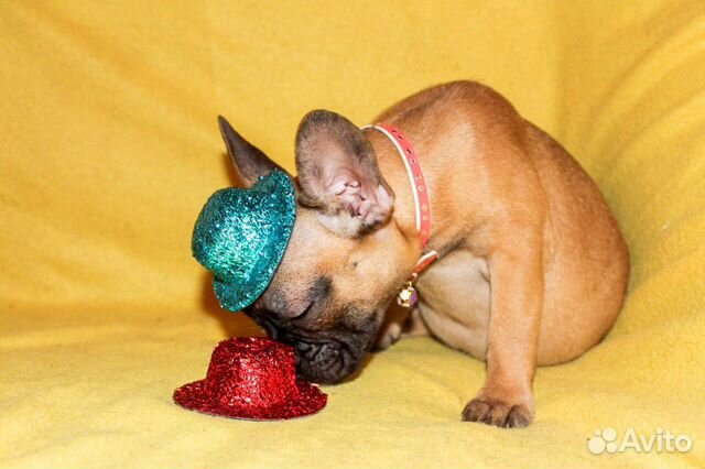 Французкие булочки