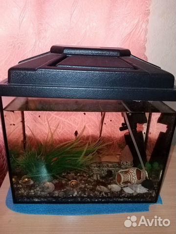 Аквариум (стоимость за два аквариума)