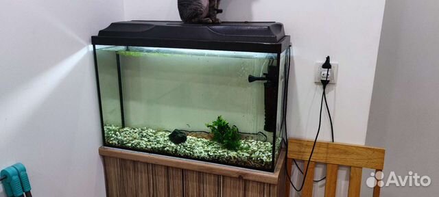 Аквариум на 120 литров