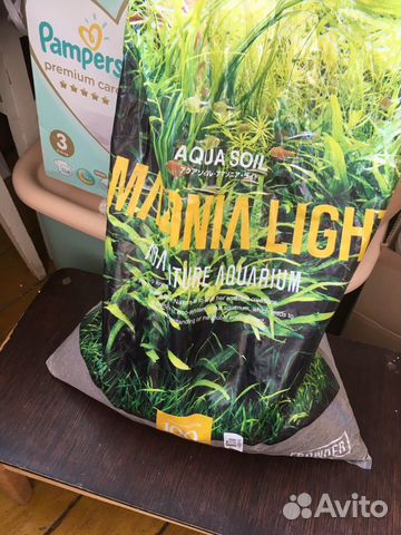 Ada amazonia light