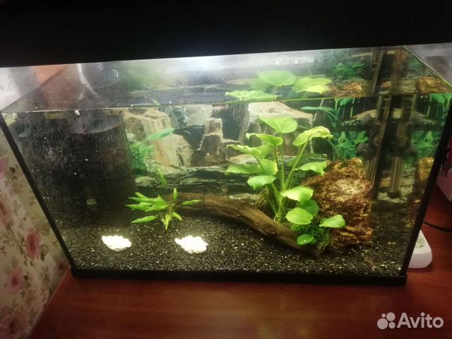 Аквариум