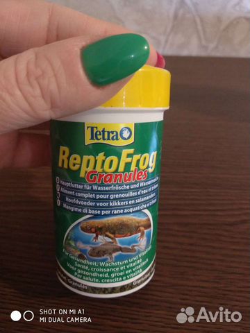 Корм для лягушек и тритонов