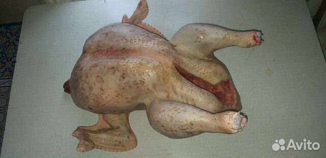 Продам тушки индейки