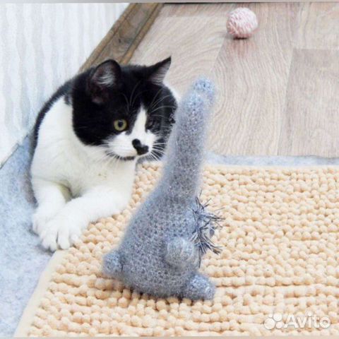 Котёнок на носике сердечко в дар