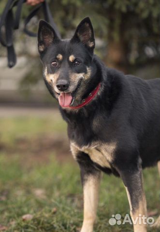 Дочки-Матери