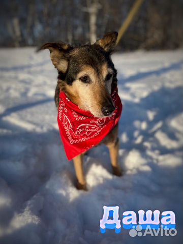 Спаси меня из приюта