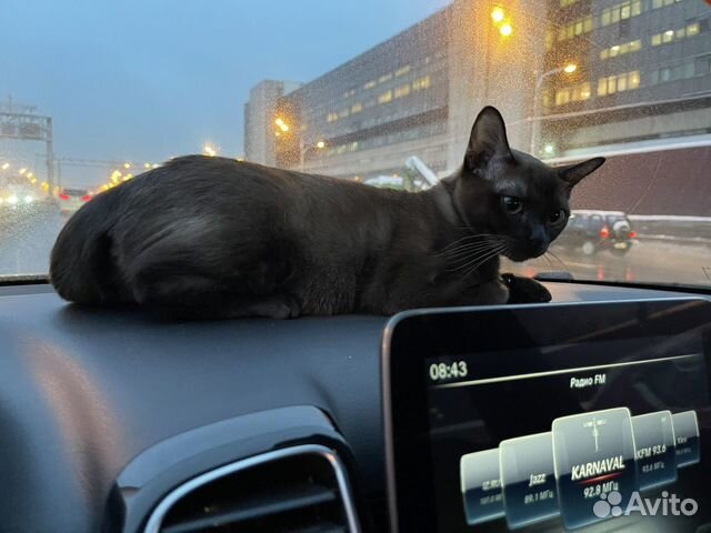 Бурманская