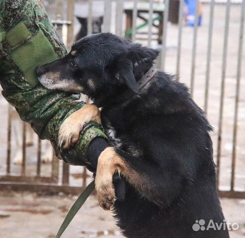 Санта верит, что её заберут из приюта домой