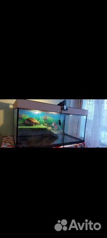 Терариум 200 литров