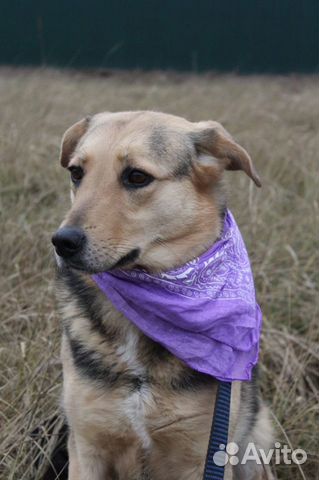 Мои глаза хотят видеть друга, а не клетку