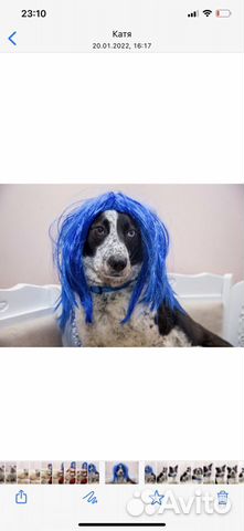 Мальвина-из Якутии