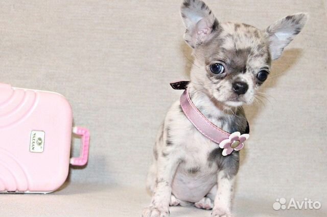 Мраморная принцесса