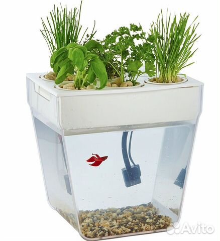 Акваферма Fish Home