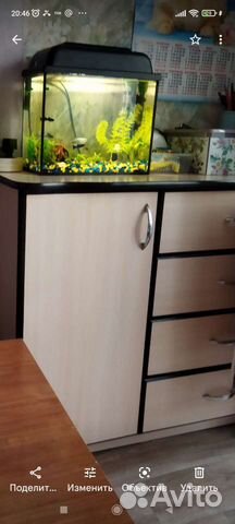 Аквариум