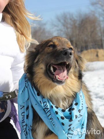 Невероятно обаятельный Данте