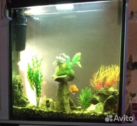 Аквариум