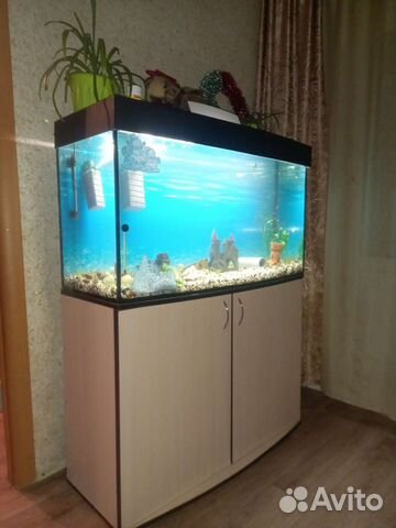 Аквариум