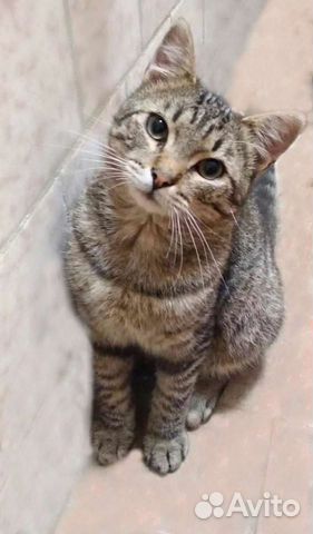 Тишу выгоняют с завода