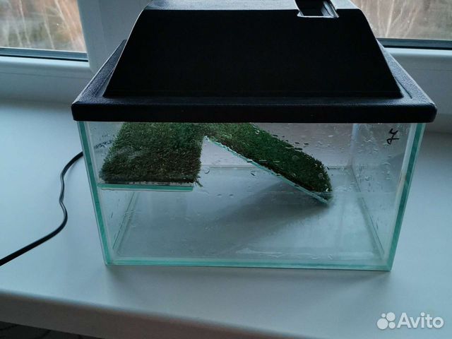 Аквариум черепашник
