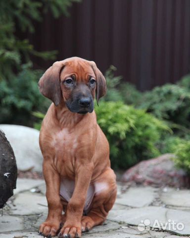 Потрясающая девочка 2 месяца