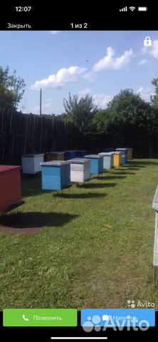 Продам пчел